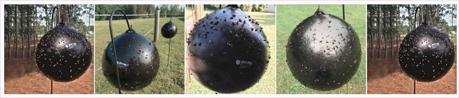 Bug Ball Fly Traps | Townley Pool and Spa